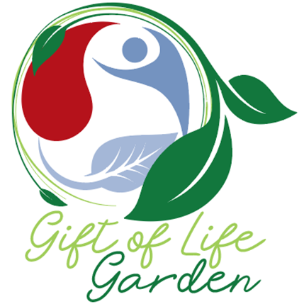 Give the Gift of Life in Two Ways This Giving Tuesday - LifeServe Blood ...