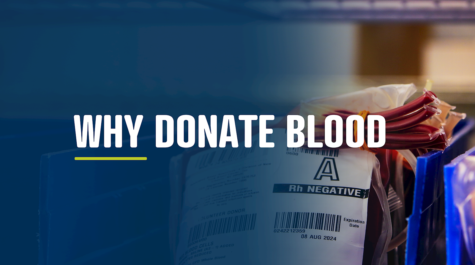 Donate Blood - LifeServe Blood Center